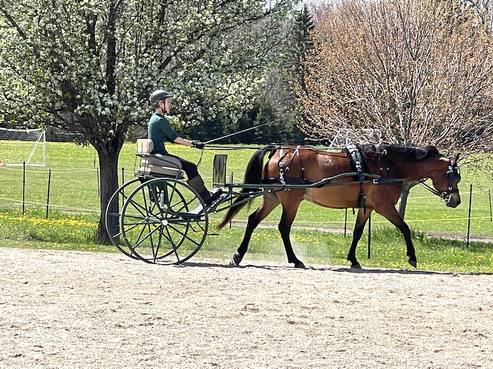 May: Training and Show Plans